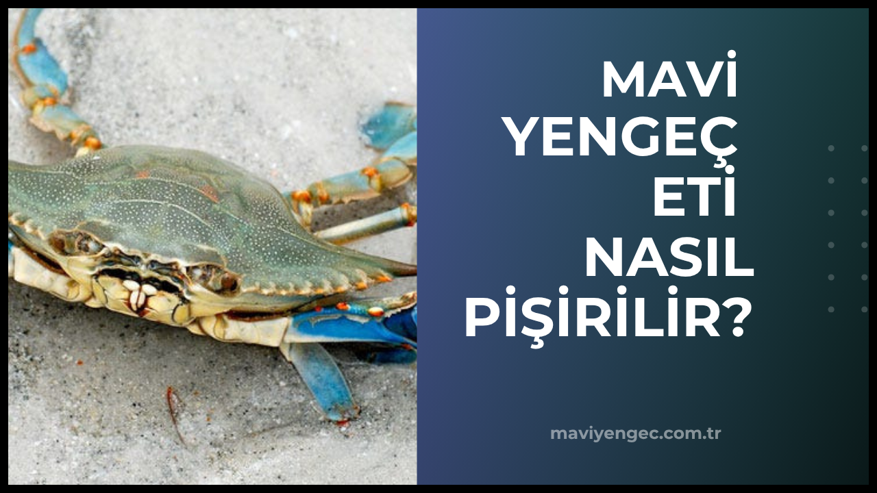 Mavi Yengeç Eti Nasıl Pişirilir? En Lezzetli Tarif Yöntemleri - Mavi ...
