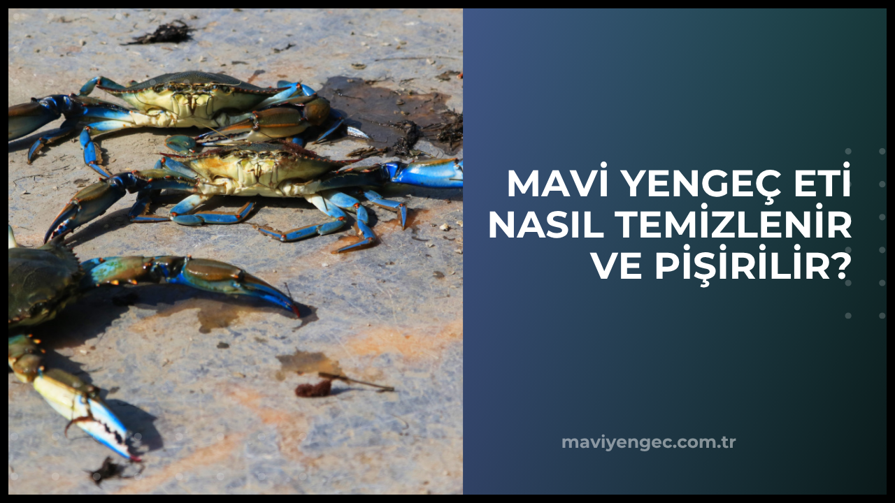 Mavi Yengeç Eti Nasıl Temizlenir ve Pişirilir? - Mavi Yengeç - E ...